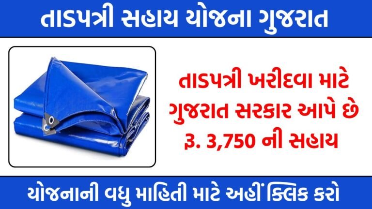 Tadpatri Sahay Yojana । તાડપત્રી સહાય યોજના